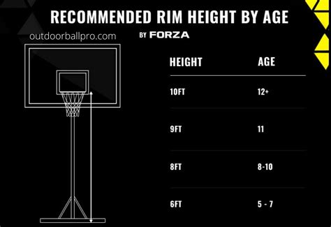Whats The Height Of A Basketball Hoop Nba At Deangelo Scholl Blog