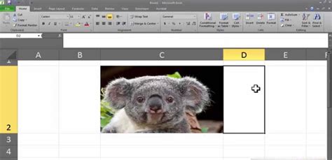 How To Insert Animated  Images In Excel 2007201020132016