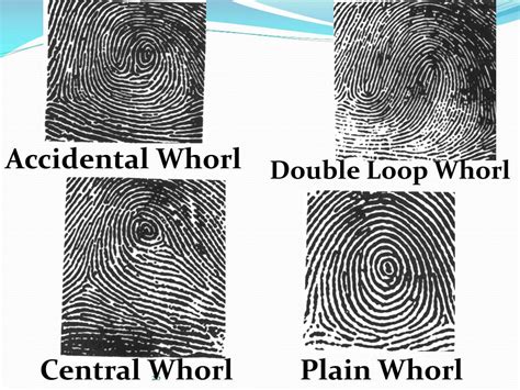 ppt forensic fingerprint analysis powerpoint presentation free