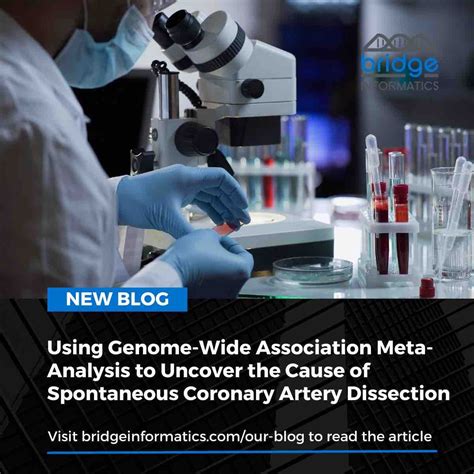 Bioinformatics Heartdisease Bridge Informatics
