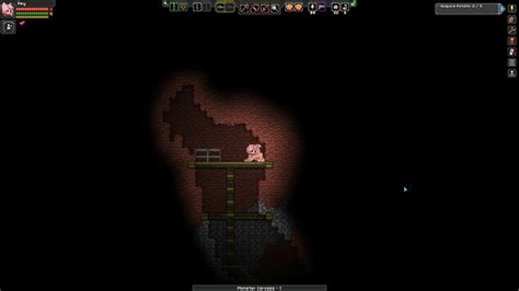 Mod Neki Support Starbound Loverslab