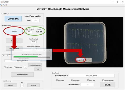 Myroot 2 0 Gtm Develops Computer Vision Tools For High Throughput Root Phenotyping In Plant