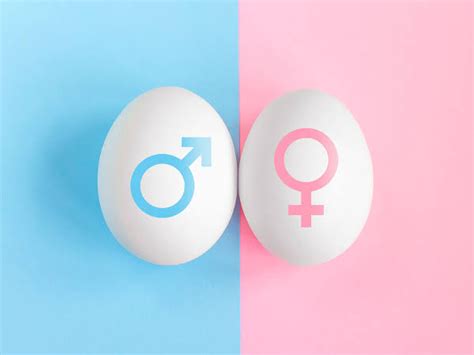 Home Lifesure Fertility And Gynaecology Centre