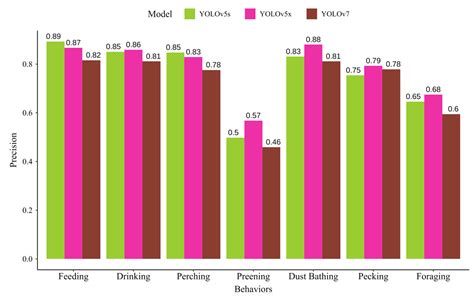 Advanced Deep Learning Methods For Multiple Behavior Classification Of Cage Free Laying Hens