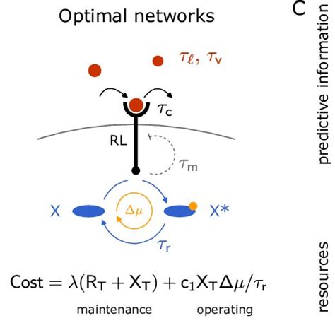 Cells Use Biochemical Networks To Remember The Past And Predict The Download Scientific Diagram