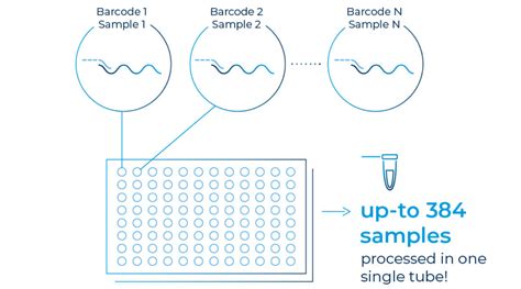 Alithea Genomics Rna Sequencing At Scale