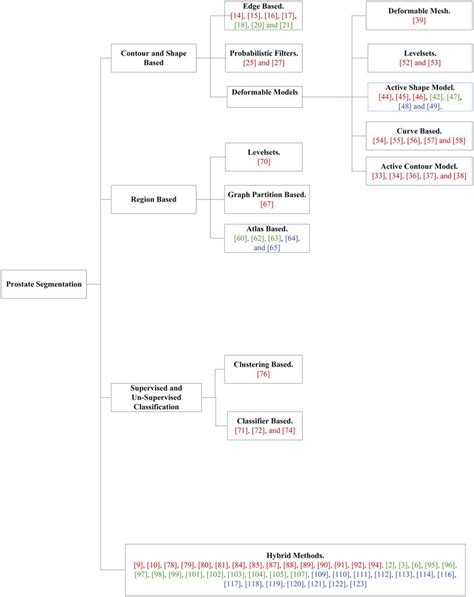 Our Proposed Taxonomy Of Prostate Segmentation Trus References In Red Download Scientific