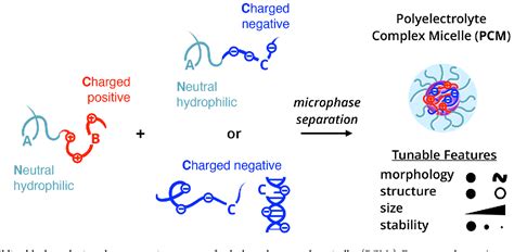 Figure 1 From Advances In The Structural Design Of Polyelectrolyte Complex Micelles Semantic