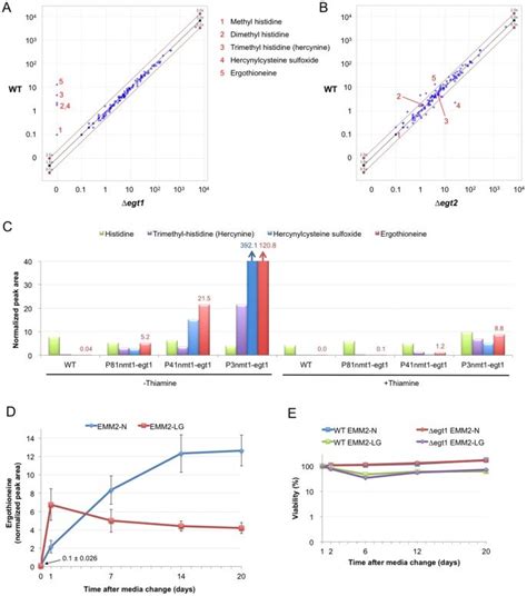 A And B A Scatter Plot Comparing Results Of Metabolomic Analysis Of Wt