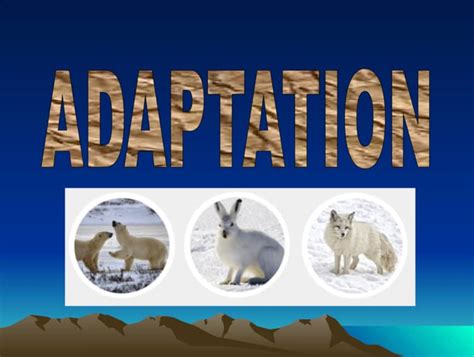 Adaptation Slides Notes Behavioral Structural Adaptations Evolution Unit