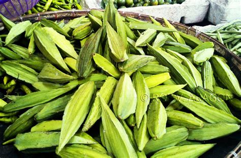 PINAKBET REPUBLIC