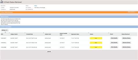 E Check Tutorial Retrieve Status FBI