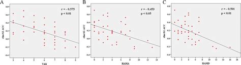 Functional Connectivity Of The Right Insular Cortexs2 To The Acc Was Download Scientific