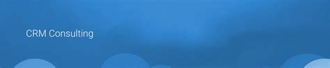 Custom Crm Consulting Services For Dynamic Businesses