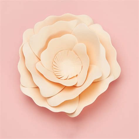 모란 크리 에이 티브 종이 절단 슈팅 소품 꽃 Papercut 쥬얼리 화장품 배경 사진 사진 소품 샴페인