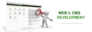 CMS Development For Quality Websites SSCSWorld Blog