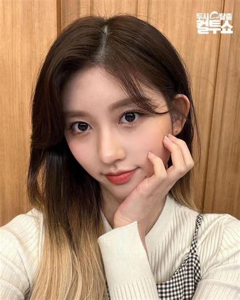 아이브 가을 촬스의 이슈와 유머