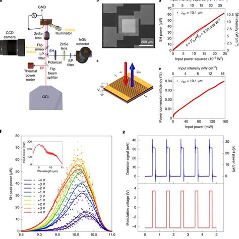 Electrically Tunable Nonlinear Polaritonic Metasurface A Schematic Of
