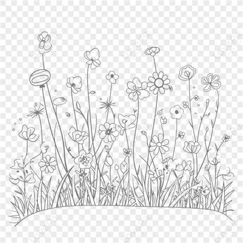 개요 스케치 드로잉에 페이지 정원 색칠 페이지에 간단한 낙서 벡터꽃밭 개요두꺼운 선 Png 일러스트 무료 다운로드 Lovepik