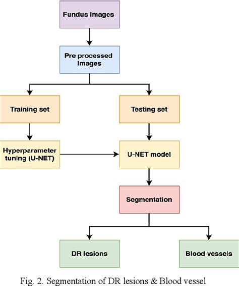 Detection Of Diabetic Retinopathy By Segmentation Using U Net With Hyper Parameter Tuning