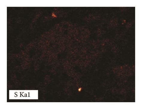 The Surface Element Distribution Of Position P6 Of Composites Specimen