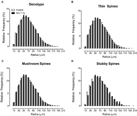 Frontiers Synaptic Connectivity In Medium Spiny Neurons Of The