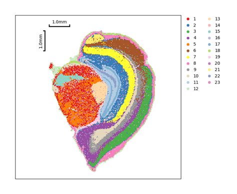 Quick Start Square Bin Stereopy