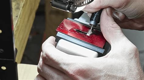 Vevor Inlay Microscope Review Experience Precision And Clarity With This Microscope Vevor Blog