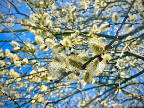 How Zeiss And Asml Enable The Modern Chip Industry