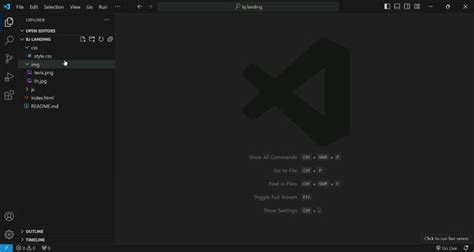 Bhagyashri Jangale On Linkedin Landlinepage Vscode Html Css