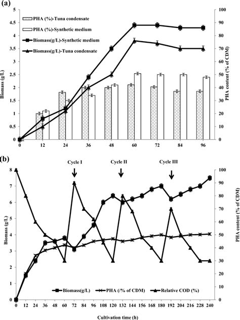 Time Course Of Biomass And Pha Production Of C Necator Tistr1095 On