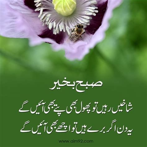50 Subha Bakhair Good Morning Images In Urdu