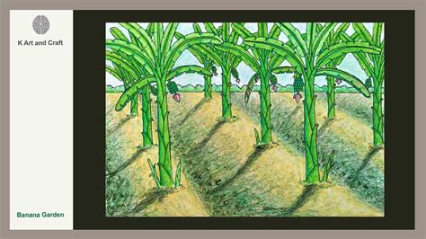 How To Draw Banana Trees