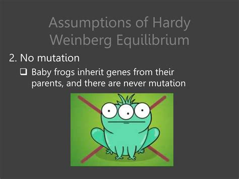 11 Hardy Weinberg Principle Ppt Genetics Ppt