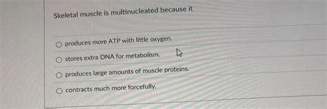 Solved Skeletal Muscle Is Multinucleated Because Itproduces