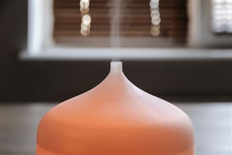 How Do Ultrasonic Oil Diffusers Work At Luke Cornwall Blog