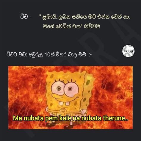 Chalitha Madhuwantha Chaliya 😂😂 ඔයාගෙ කොන්ඩේ ක්‍රේල් යාලුවව මෙන්සන් කරන් යමු 😂😌😌 Instagram