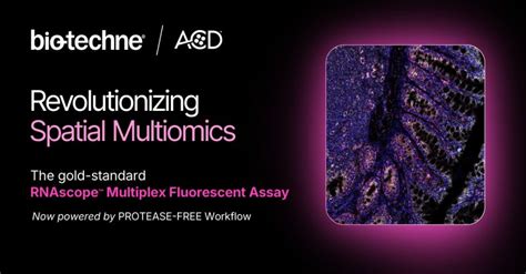Rnascope Spatialbiology Rnascope Proteomics Spatialmultiomics Insitu Advanced Cell