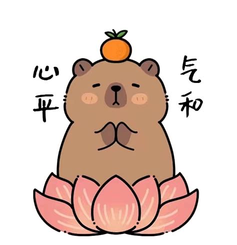 卡皮巴拉1