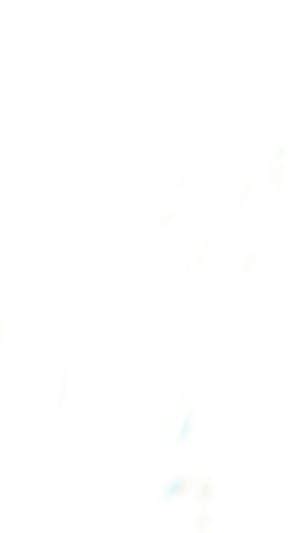 White Full Screen Wallpapers WallpapersOK