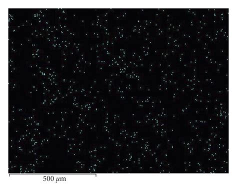 Pl Spectra Of G C3n4 γ Fe2o3 And 10fecn Composite A Sem Mapping