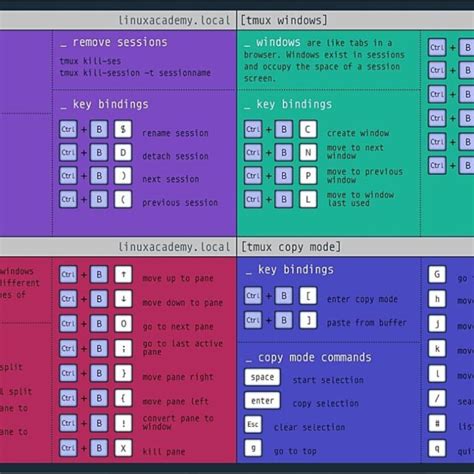 Comandos De Tmux Abreviados Download Scientific Diagram