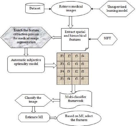 Figure 1 From Automative Multi Classifier Framework For Medical Image