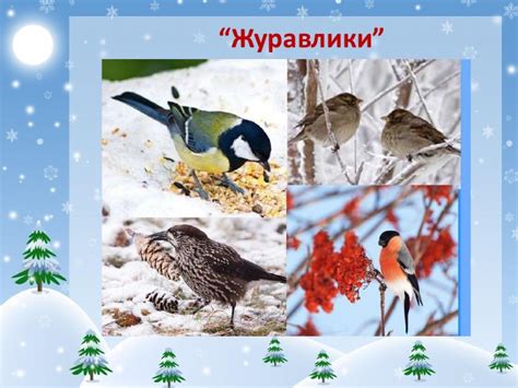 Презентація до уроку ЯДС 2 клас Як зимують тварини