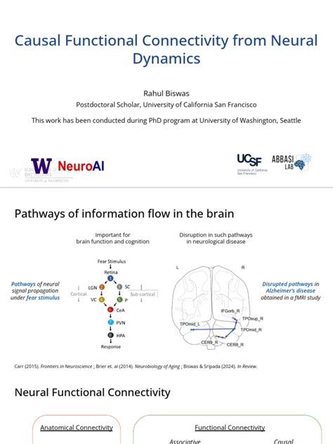Sfn Causal Functional Connectivity From Neural Dynamics 2 Pdf Functional Magnetic