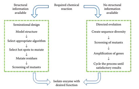 Enzyme Engineering Rational Design And Directed Evolution Nguyenstarch
