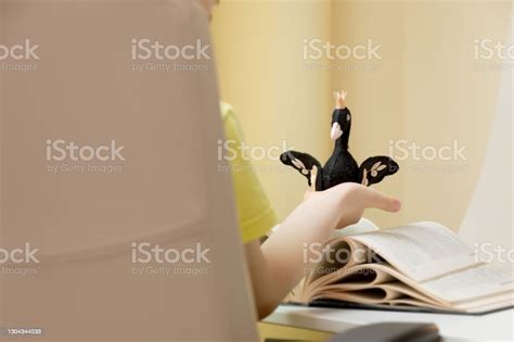 왕관이 있는 검은 색 펠트 수제 백조가 열린 책 위에 있는 소년들의 손에 달려 있습니다 애니메이션 동화와 이야기의 개념 독서는 다른 현실이다 감정에 대한 스톡 사진 및 기타
