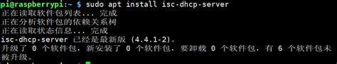树莓派 debian utuntu 使用isc dhcp server搭建DHCP服务 lirenye 博客园