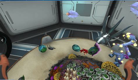 Is It Safe To Raise A Crashfish Wont He Explode My Other Fishes Also Are Those Other Eggs