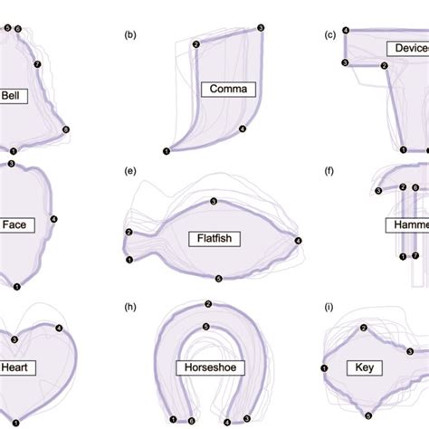 Overview Of Analyzed Datasets All Contour Data Are Available In The 2d Download Scientific